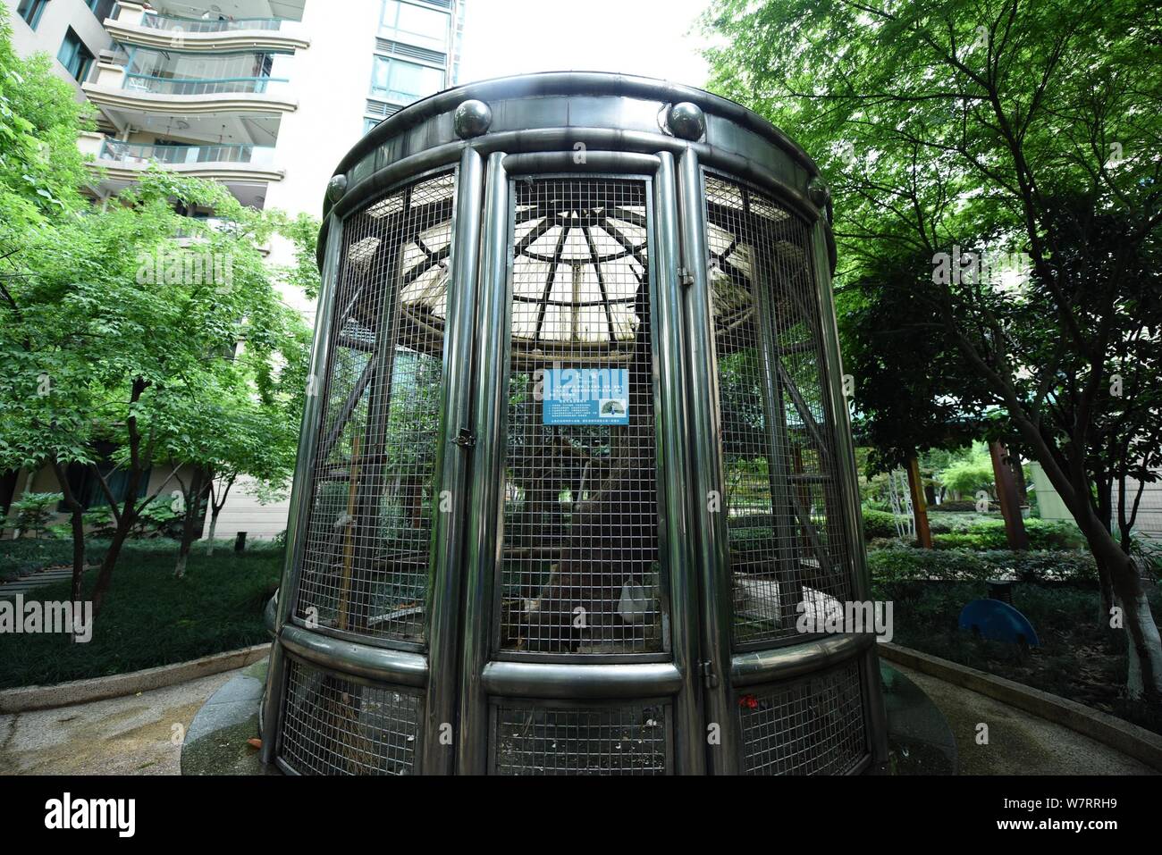 Peacock cage hi-res stock photography and images - Alamy