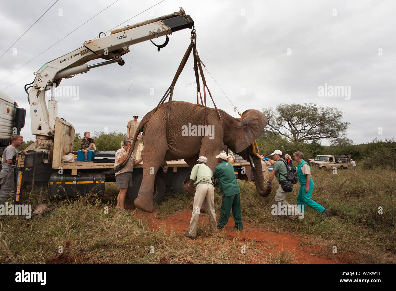 Operation game hi-res stock photography and images - Alamy