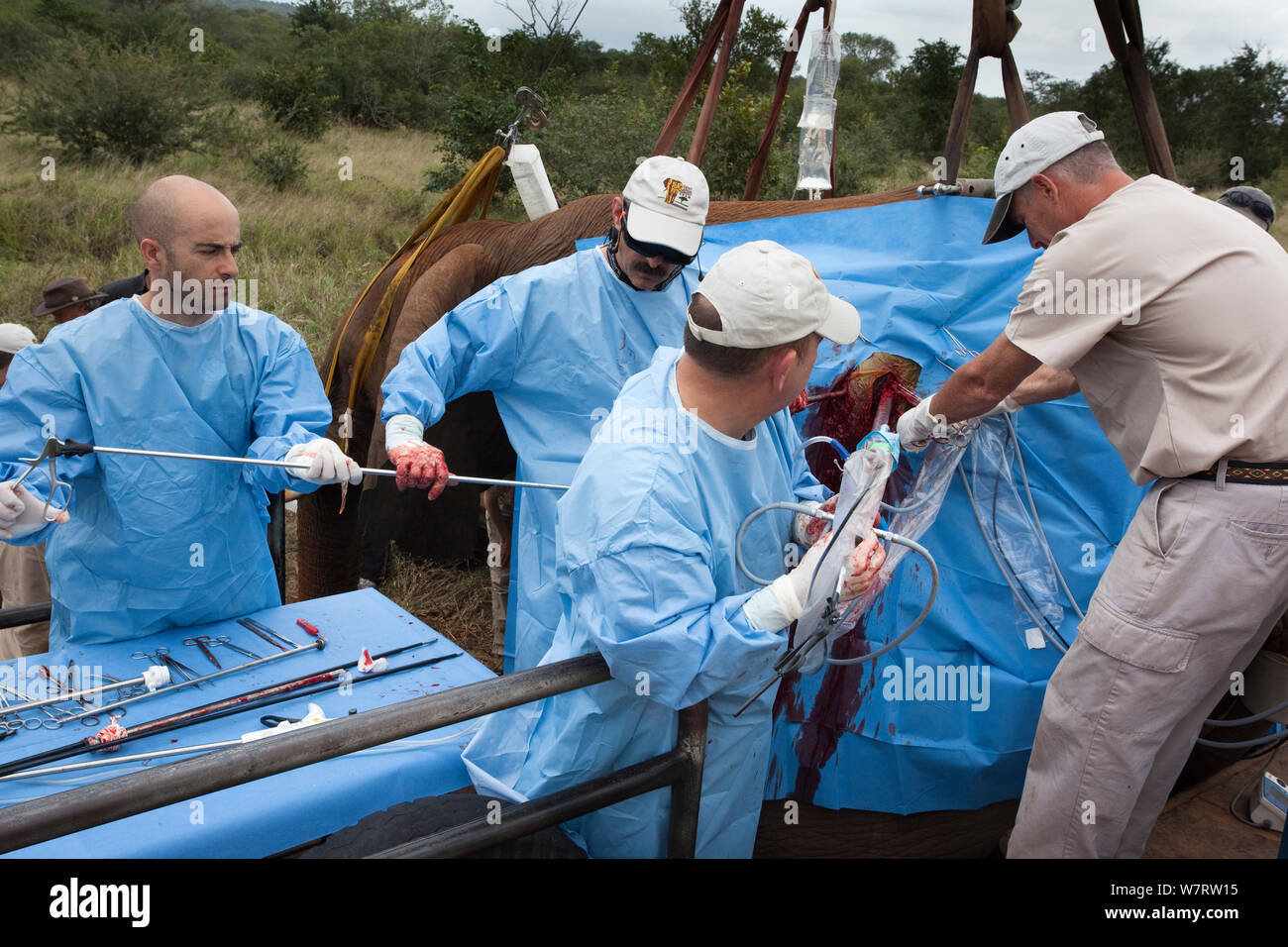 Vasectomies hi-res stock photography and images - Alamy