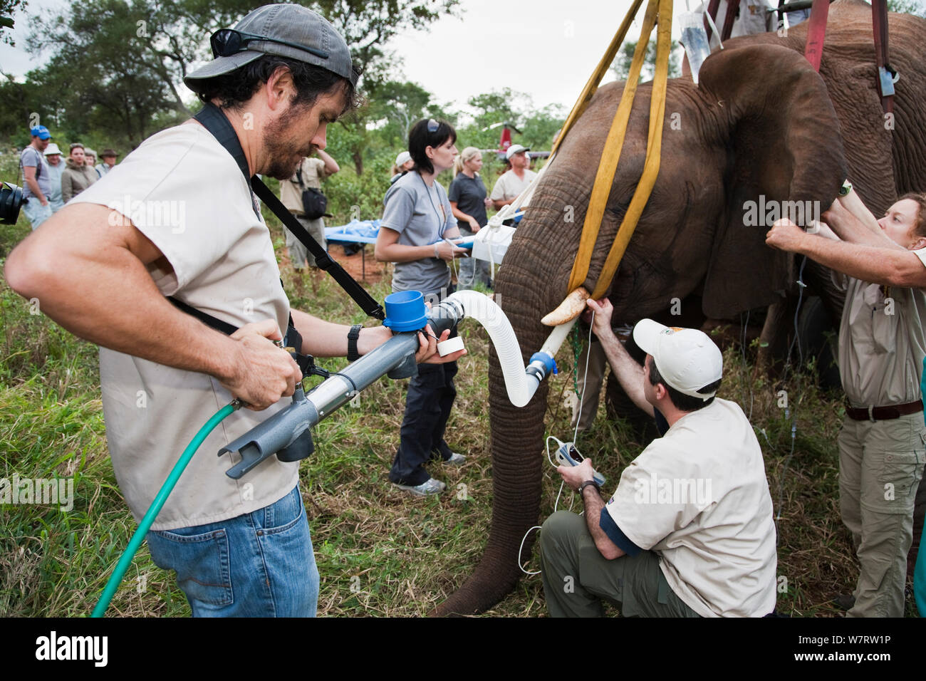 Population management hi-res stock photography and images - Alamy