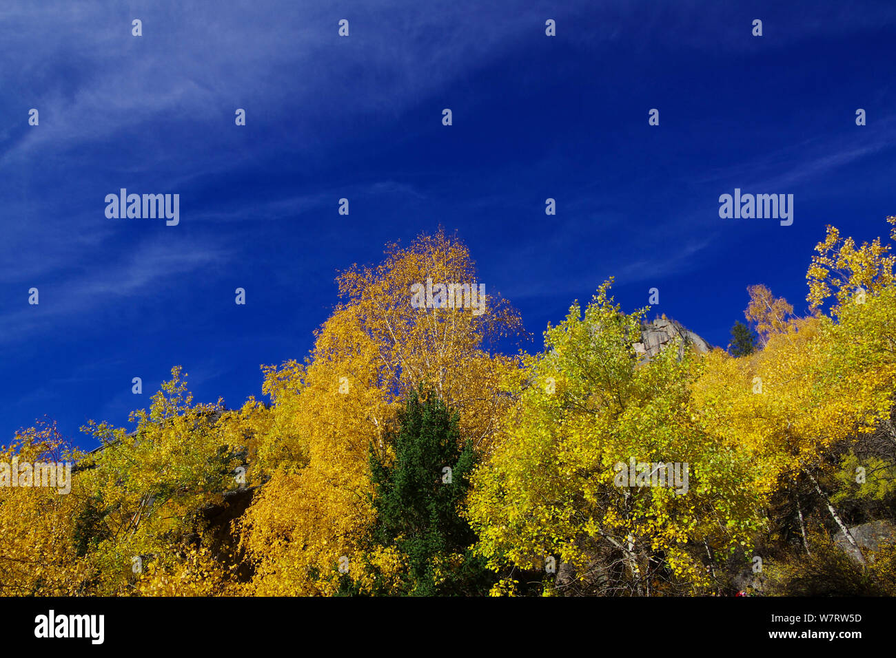 Landscape of Keketuohai National Geological Park in Altay Prefecture ...