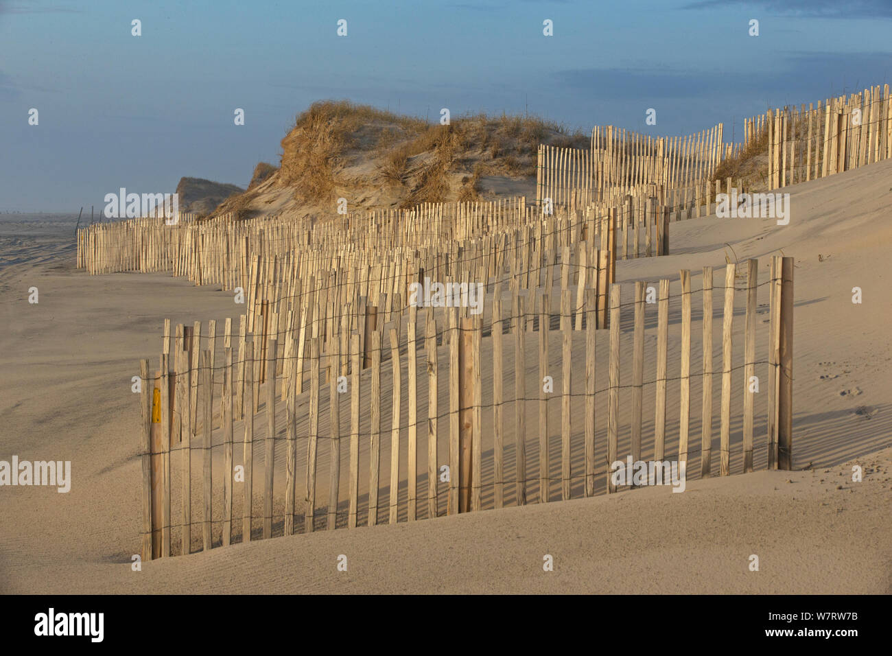 Sand fences along the beach to help against erosion of the dunes. Outer ...