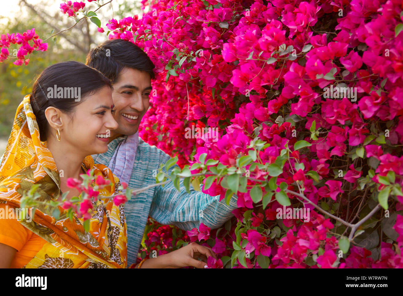 Plucking Flower High Resolution Stock Photography and Images - Alamy