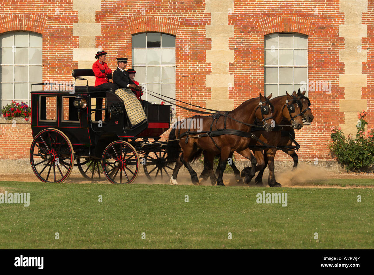 Norman cob hi-res stock photography and images - Alamy
