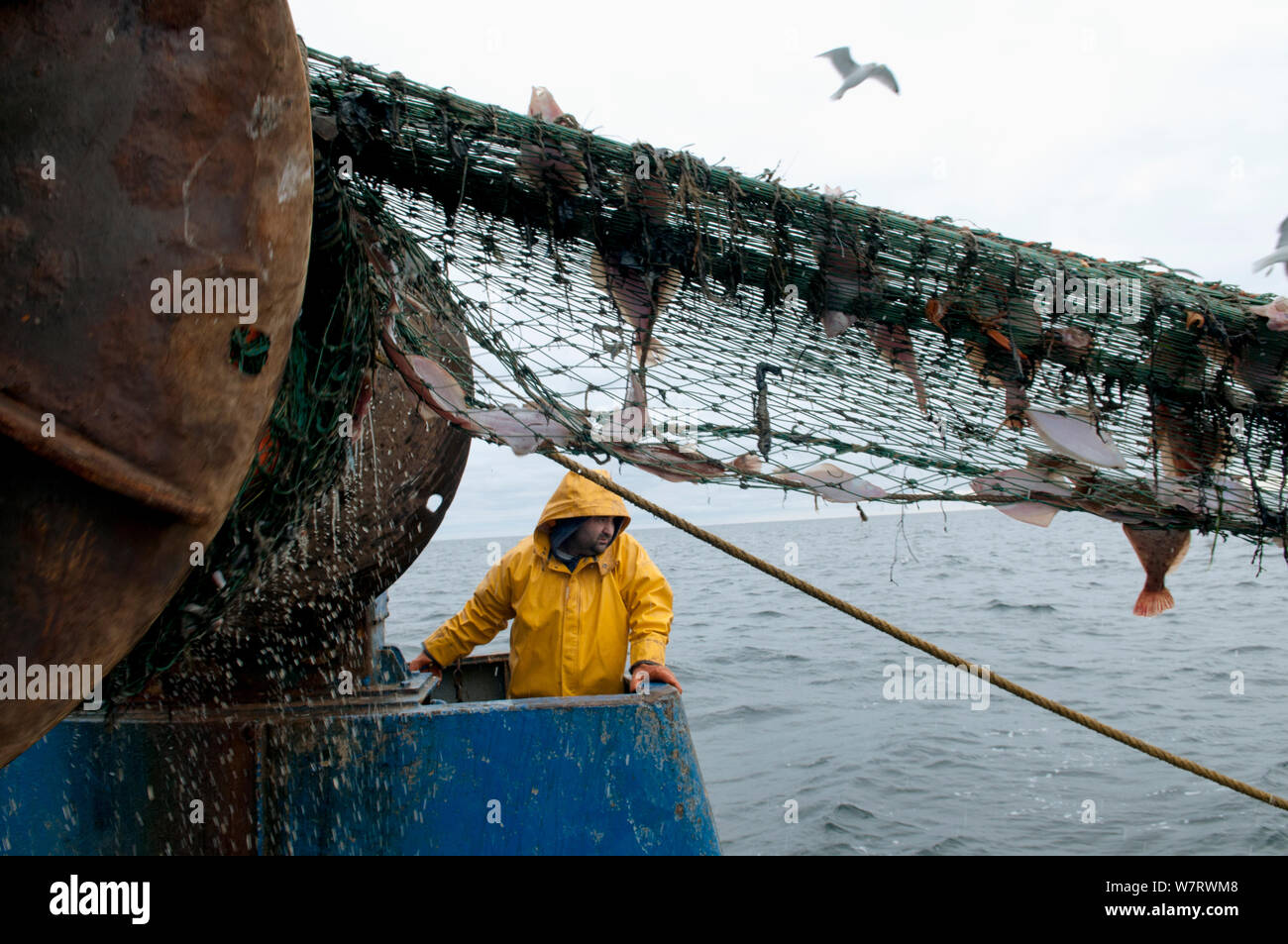 Trawler net hi-res stock photography and images - Alamy