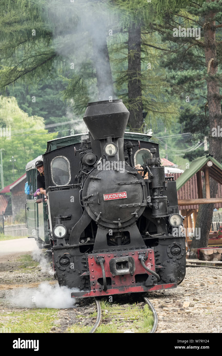 Narrow gauge steam locomotive steam engine hi-res stock photography and images - Alamy