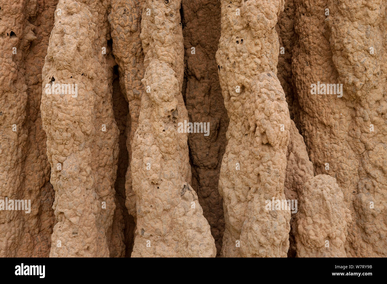 Cathedral termite mound detail, Kakadu National Park, Northern ...