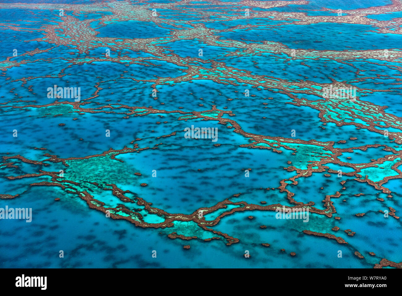 Aerial view of Hardy Reef, Great Barrier Reef, Queensland, Australia ...