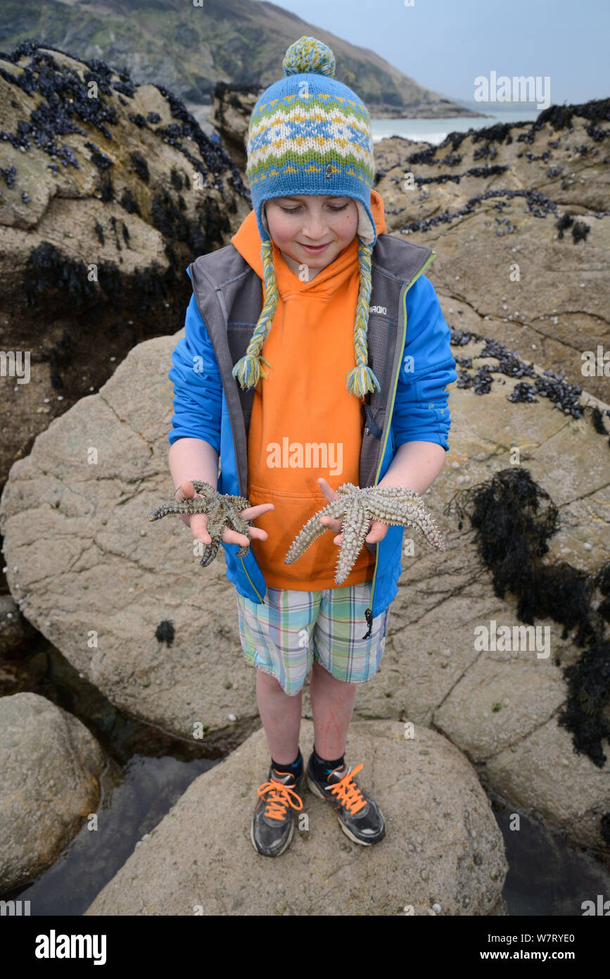 Cornwall rock pool starfish hi-res stock photography and images - Alamy