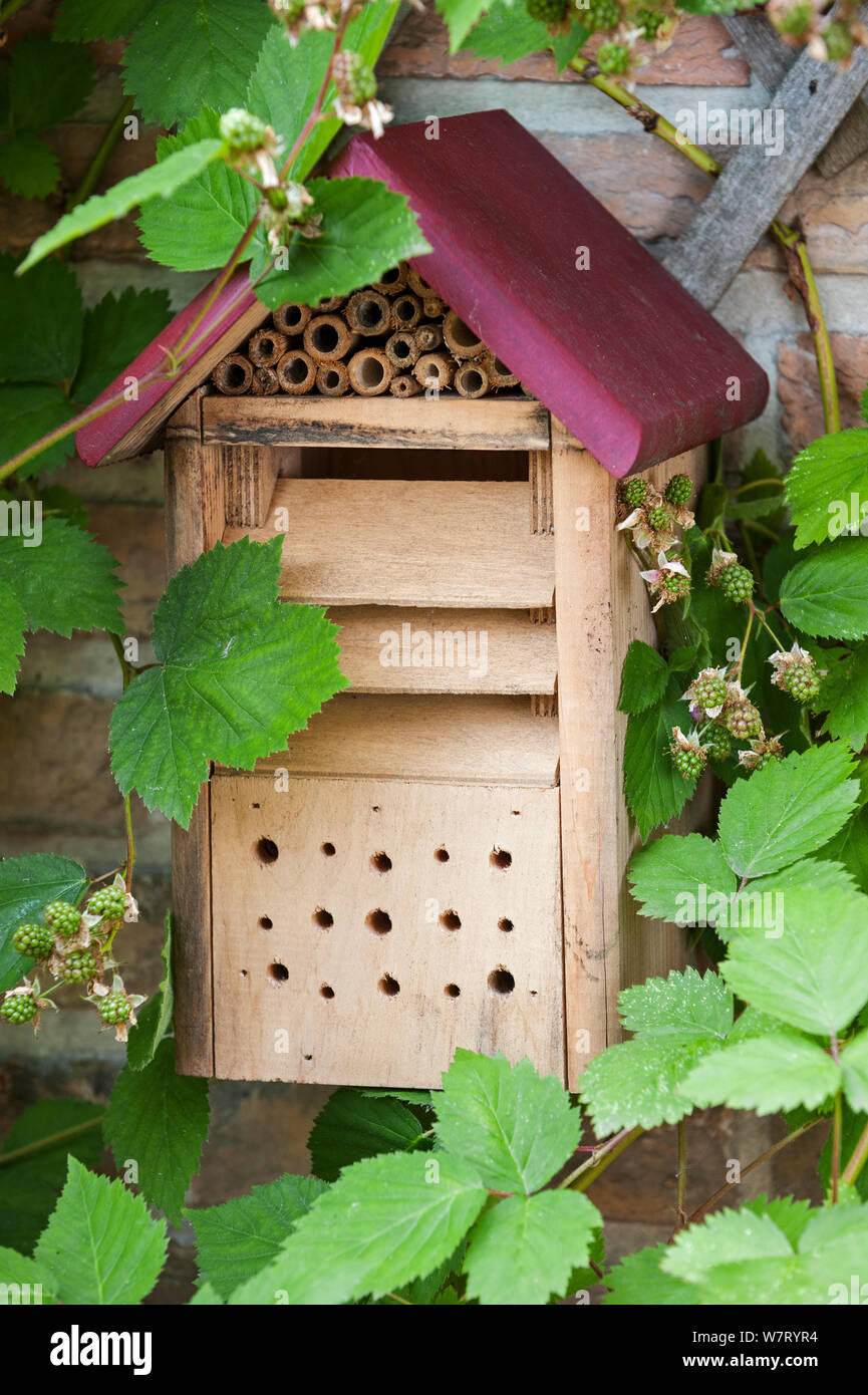 'Insect hotel' shelter and nesting box for various insects. In ...