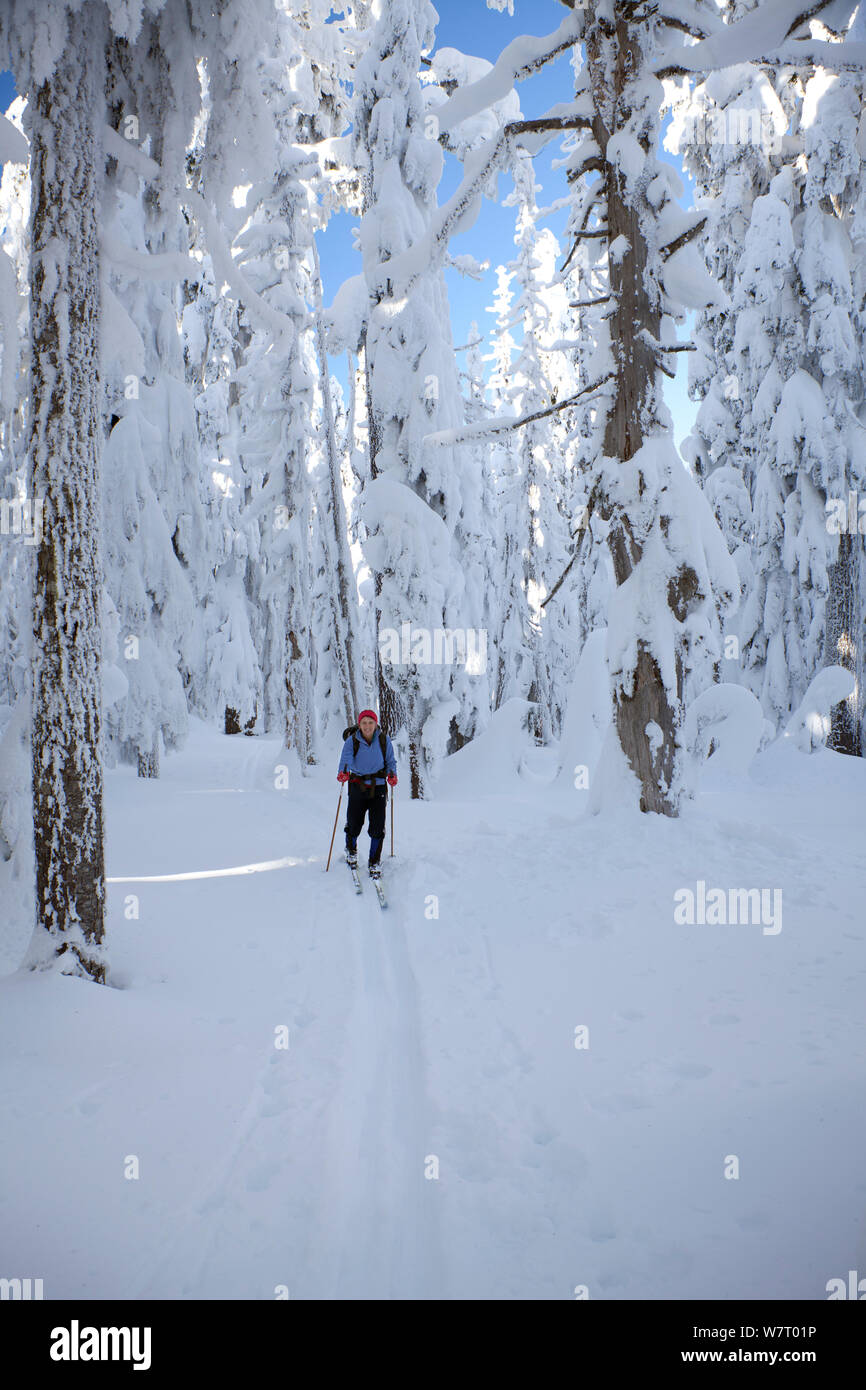 Washington cross hi-res stock photography and images - Alamy