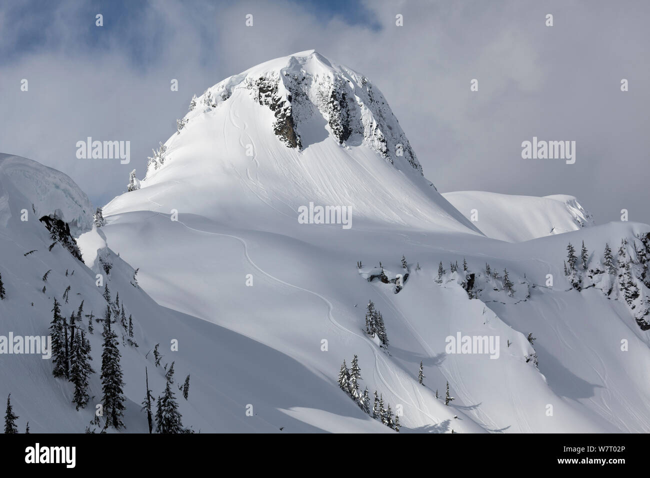 Table Mountain in the Mount Baker Wilderness, viewed from Heather ...