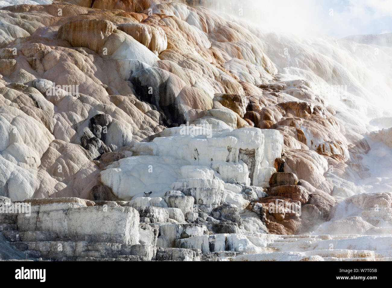 Lower Terraces of Mammoth Hot Springs in Yellowstone National Park ...