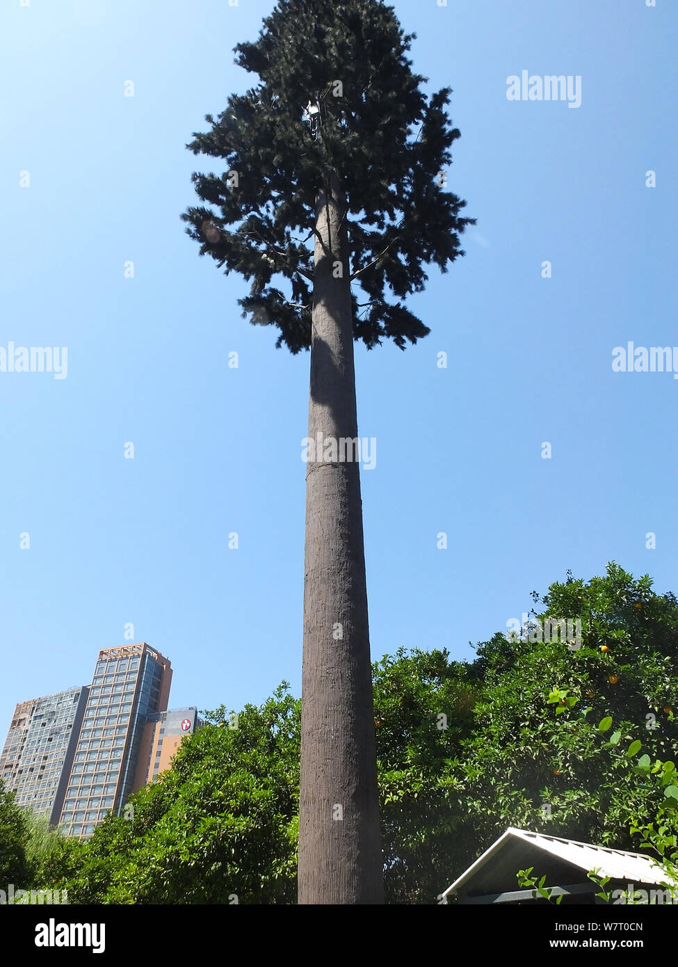 Disguised to look like hi-res stock photography and images - Alamy