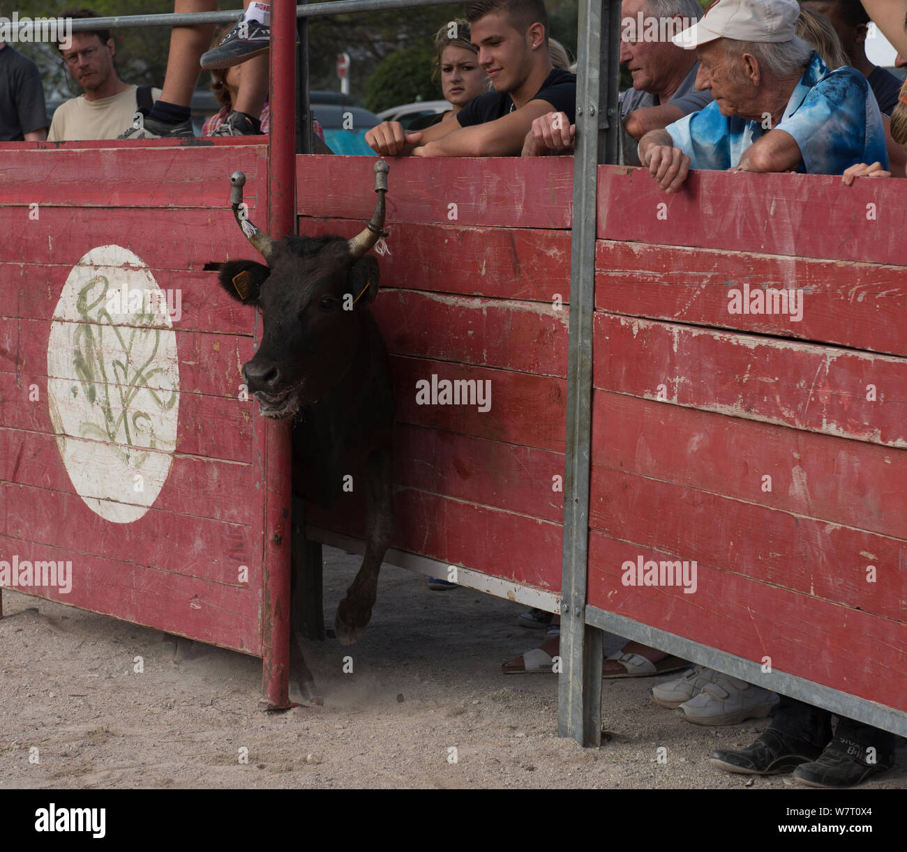 Human bulls hi-res stock photography and images - Alamy