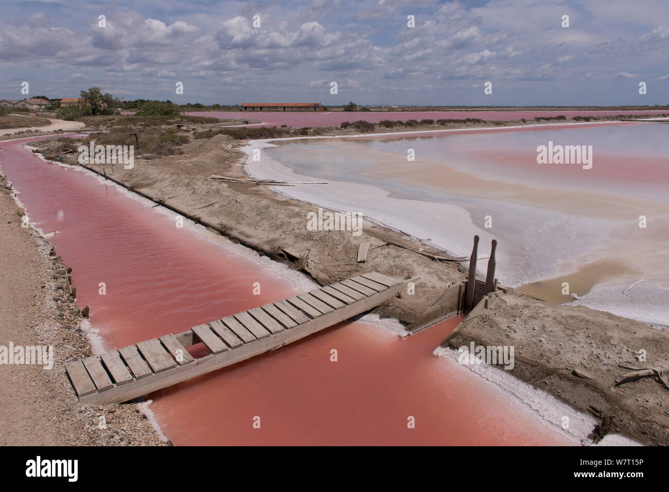 Salt pans with high salt concentration. Salin de Giraud, Camargue ...