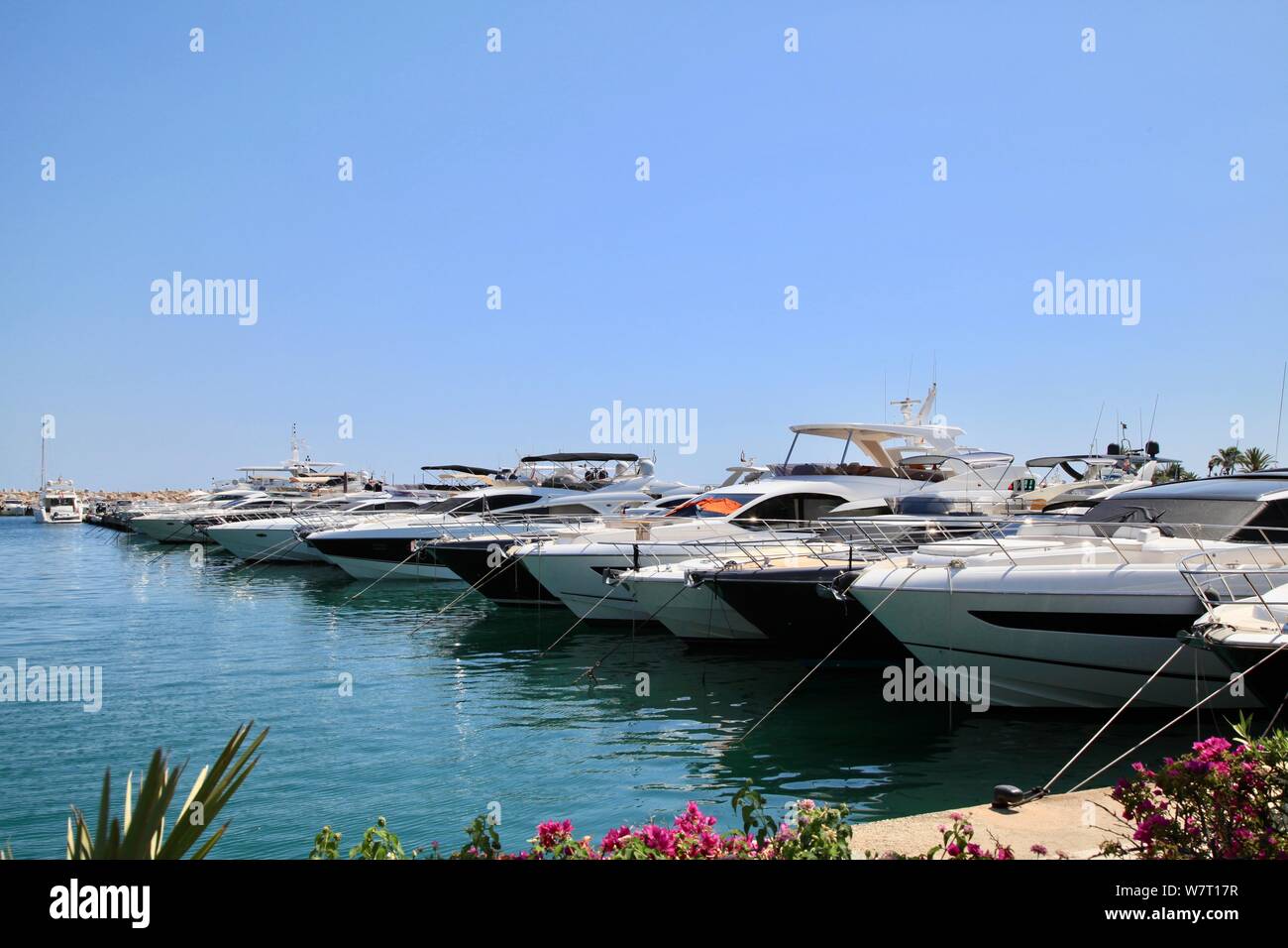 Port Portals Mallorca August 2019 Stock Photo - Alamy