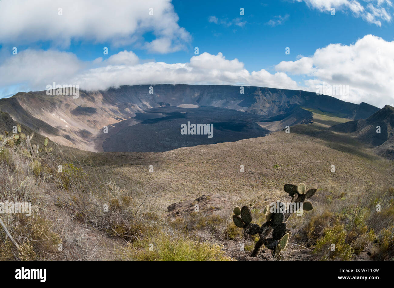 Isabela Island Volcanoes