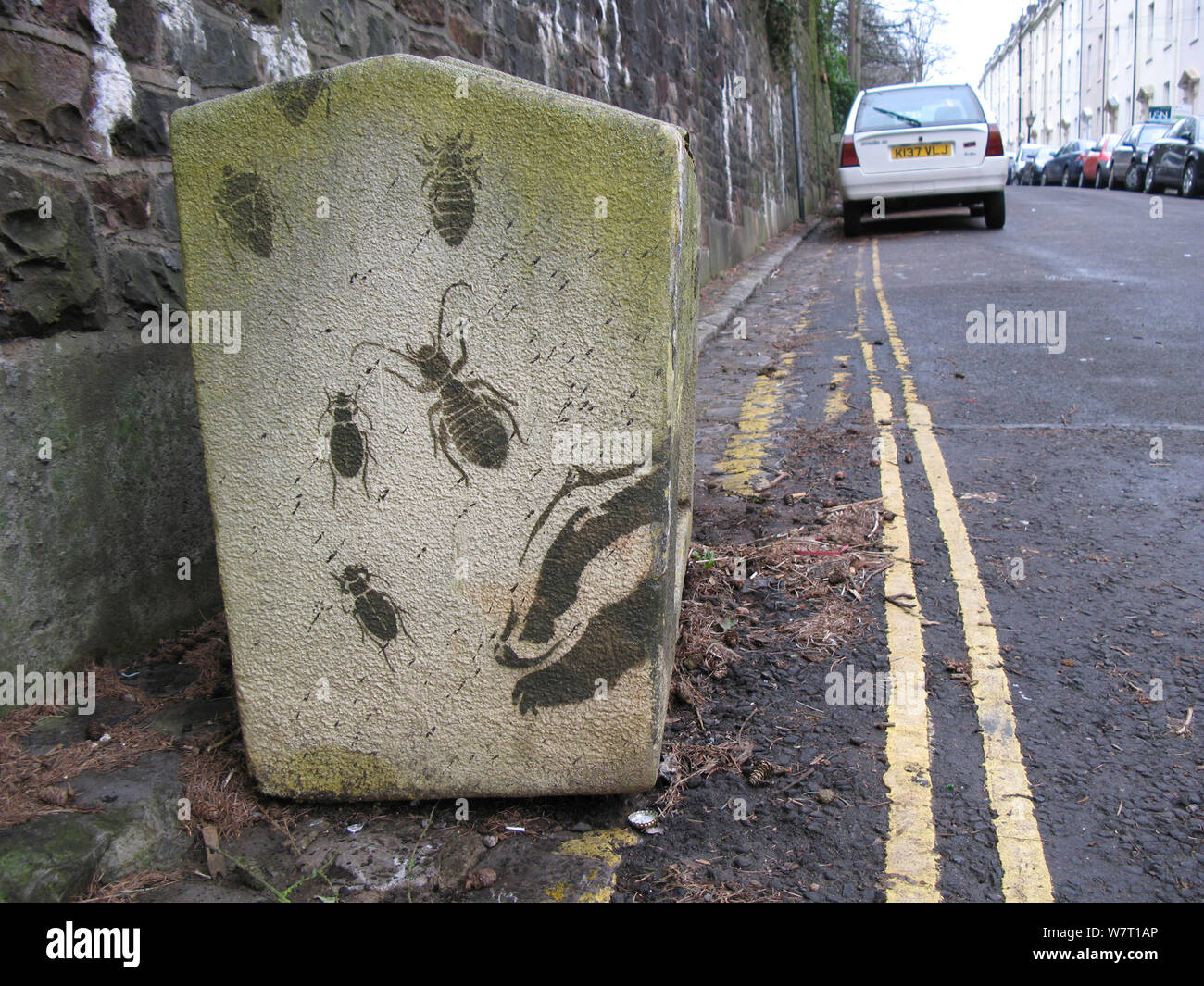Badger and insects graffiti on a grit box, Bristol, UK Stock Photo - Alamy