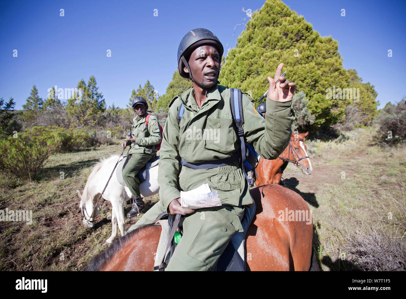 Wildlife poaching mounted patrol tracking and noting animal movement ...