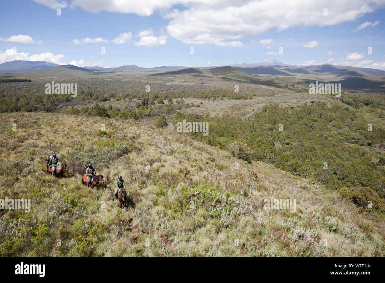 Aerial view of an wildlife poaching patrol unit on horseback, Mount ...
