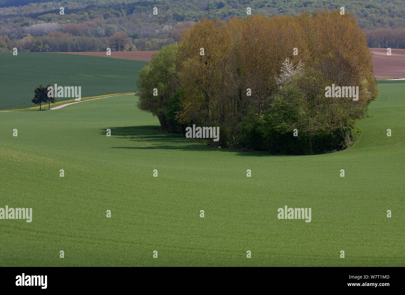 Foulon france hi-res stock photography and images - Alamy