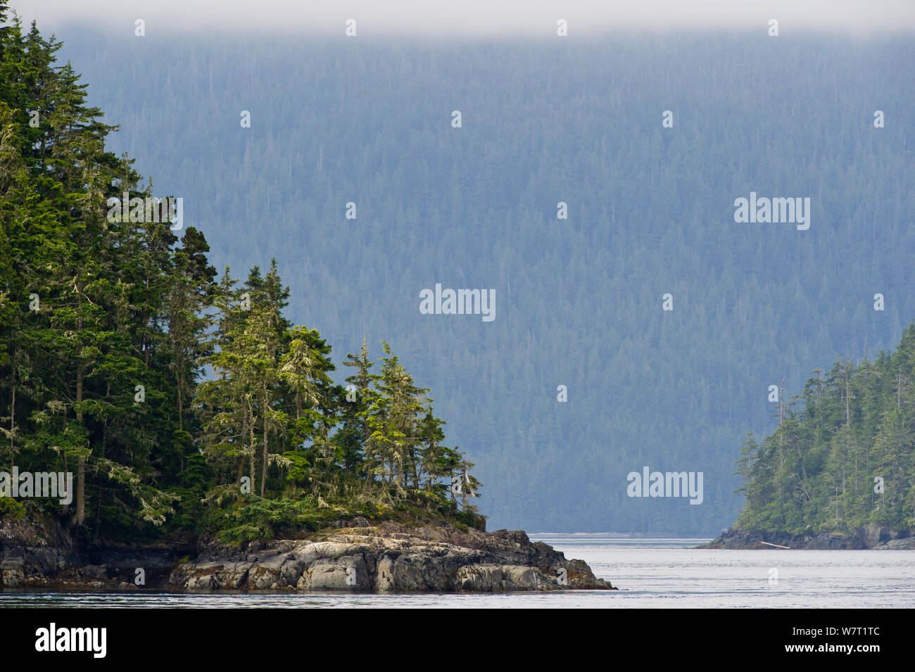 Johnstone Strait landscape, Telegraph Cove, East coast, Vancouver ...