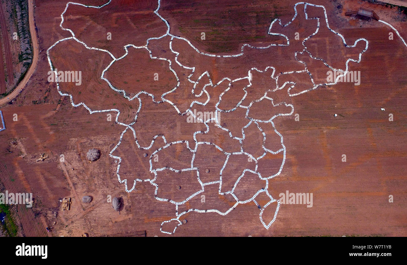 Aerial view of a map of China created by local farmers in Shenyang city ...