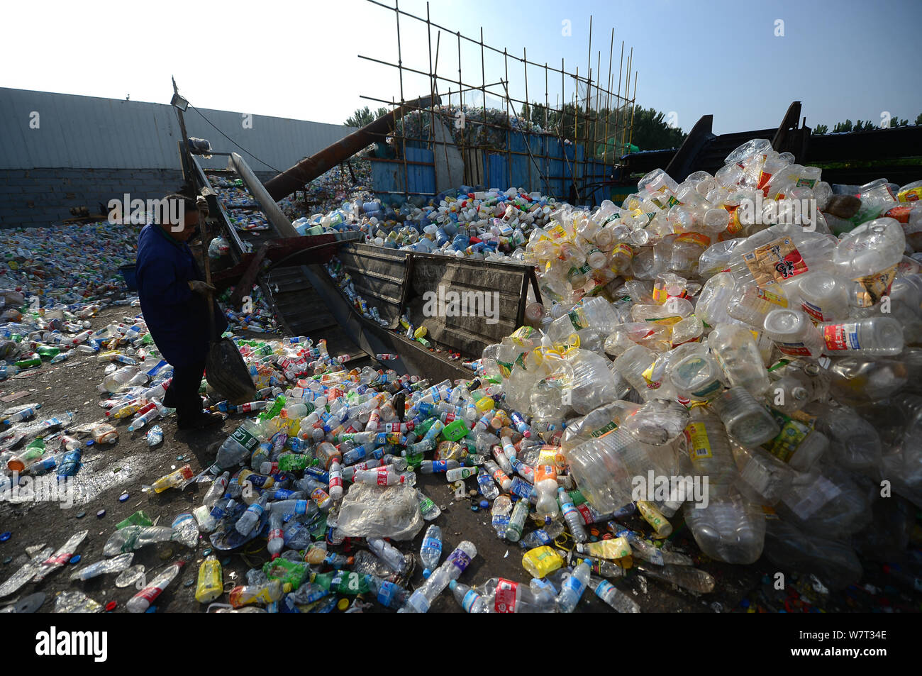 A Chinese worker clears plastic bottles at the plastic bottle recycling ...