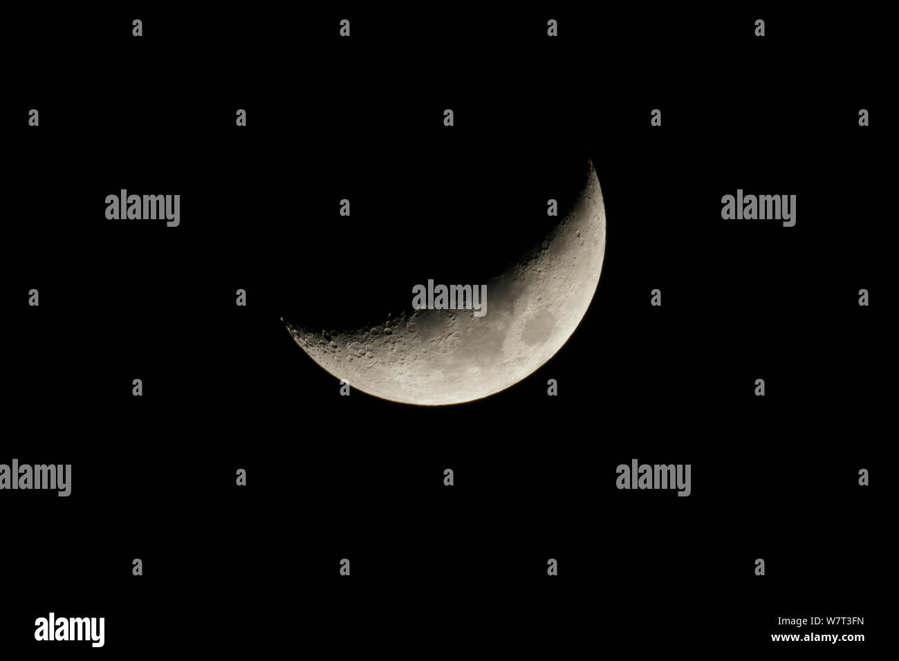 Cresent Moon, Hampshire, England, UK. February Stock Photo - Alamy
