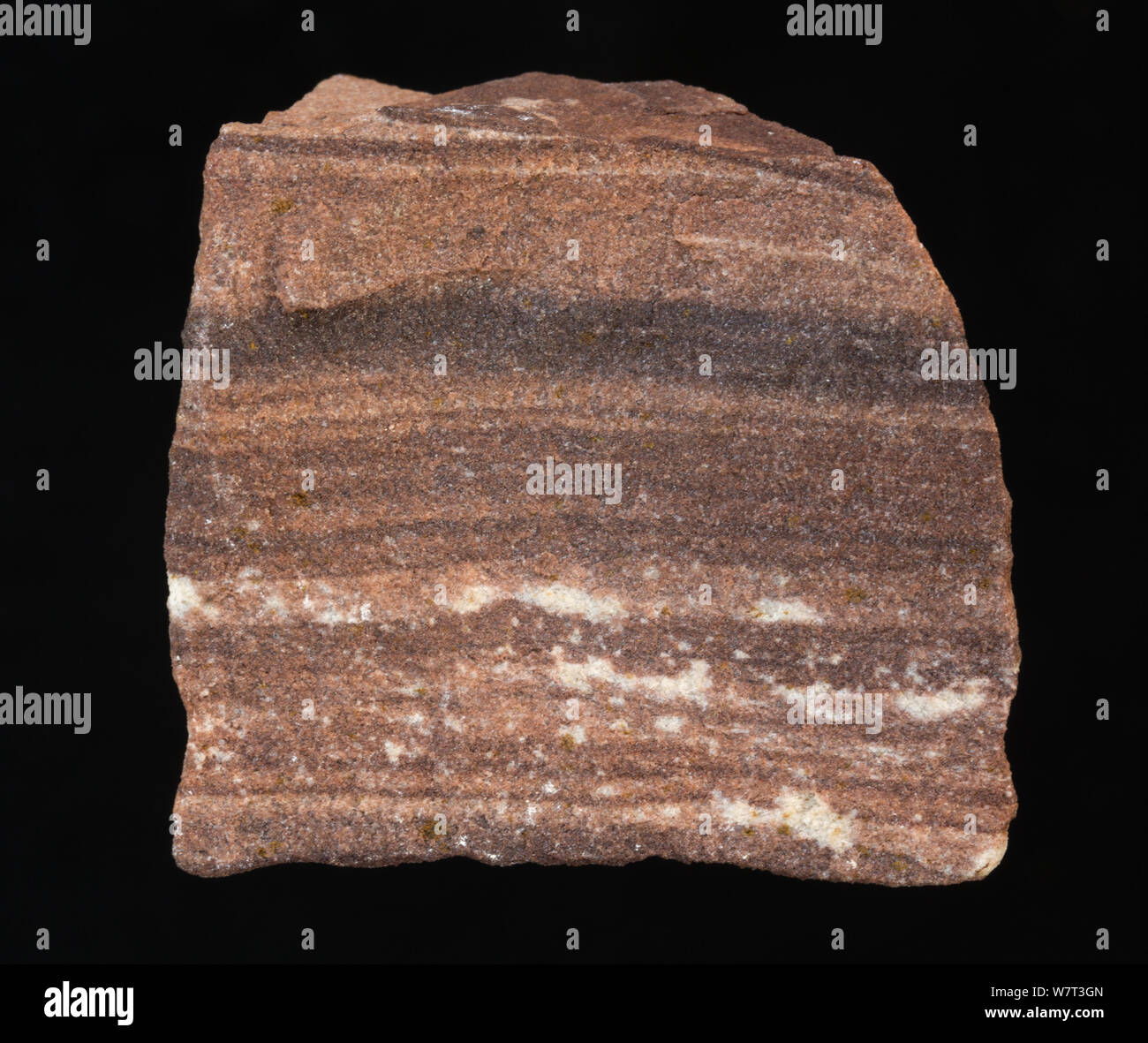 Sedimentary rock sandstone hi-res stock photography and images - Alamy