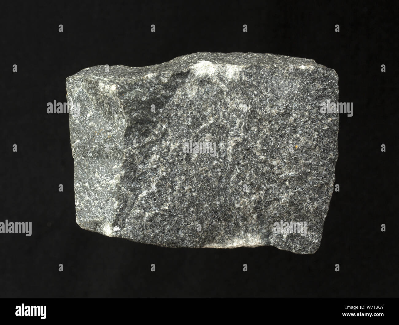 Graywacke, a sandstone, from Montana, USA Stock Photo - Alamy