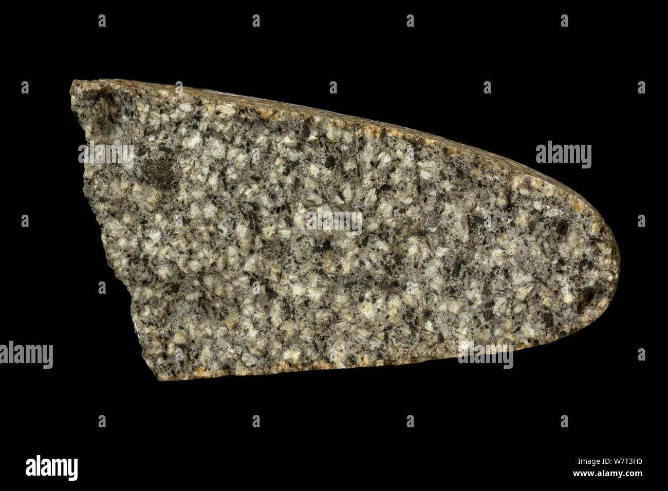 Porphyritic Andesite