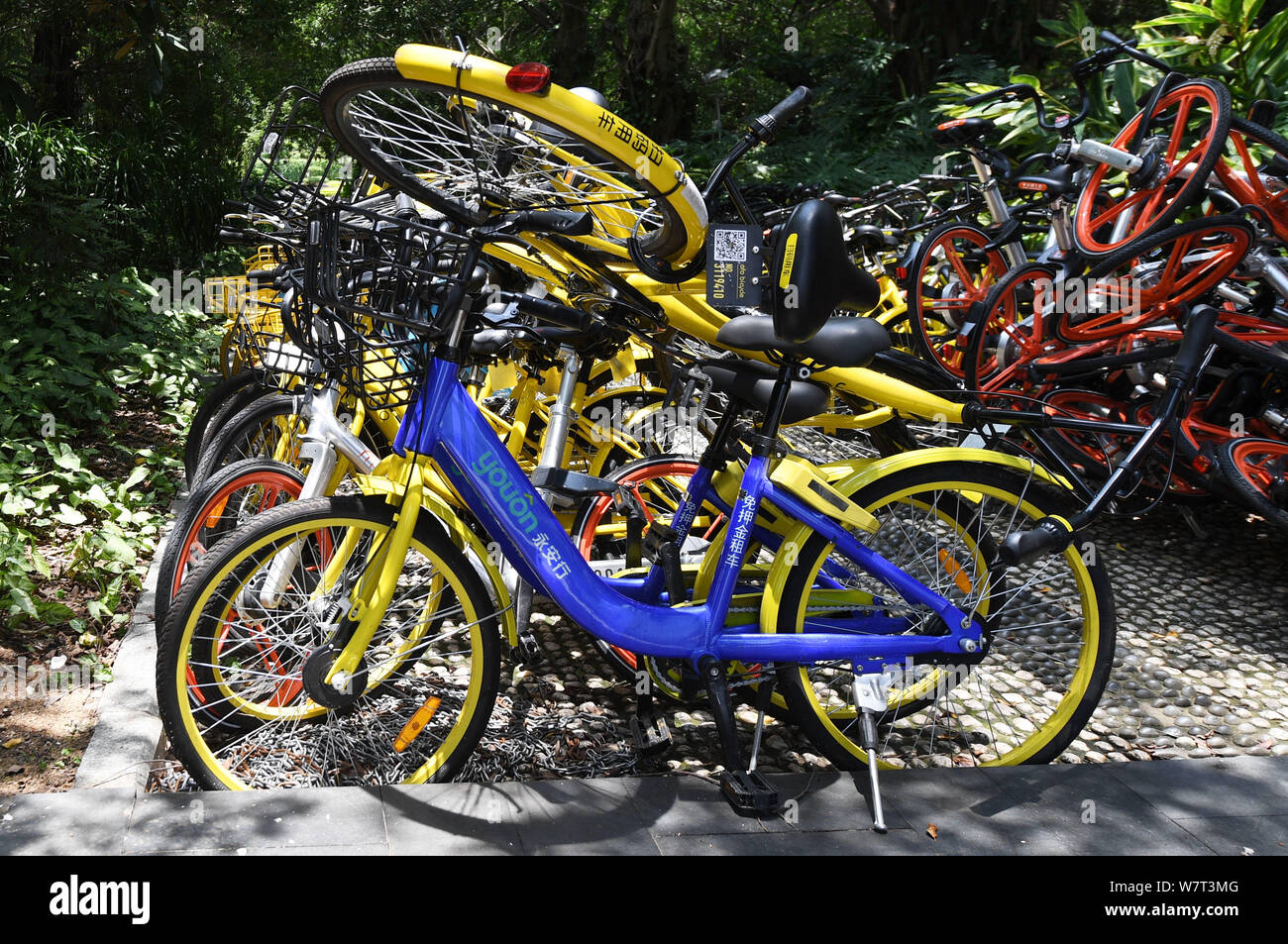 Bicycles of Chinese bike-sharing services Mobike (orange), Youan (blue ...