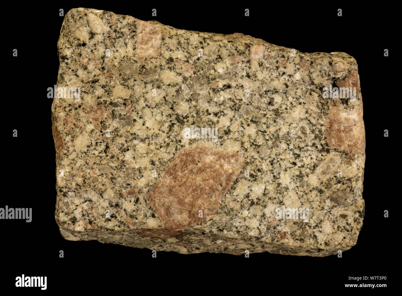 Porphyry, a igneous rock containing large crystals, from Cohuila ...
