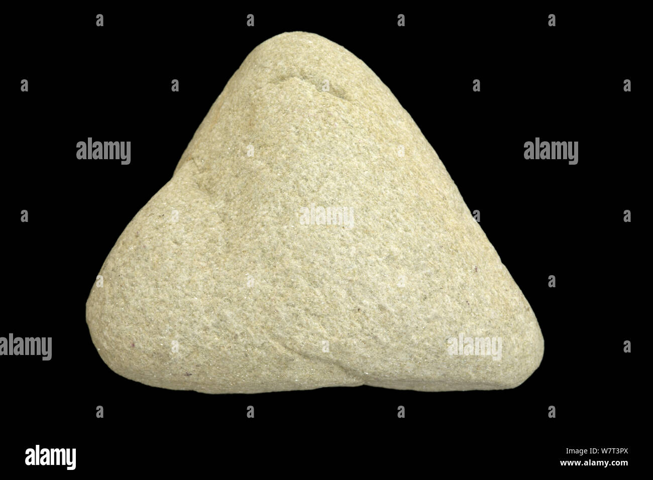 Quartz Schist, a metamorphic rock with quartz crystals, from Dawson ...