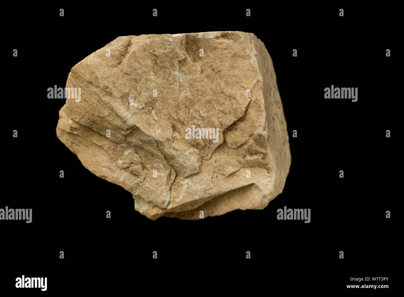 Kaibab limestone from the Grand canyon, Arizona Stock Photo - Alamy