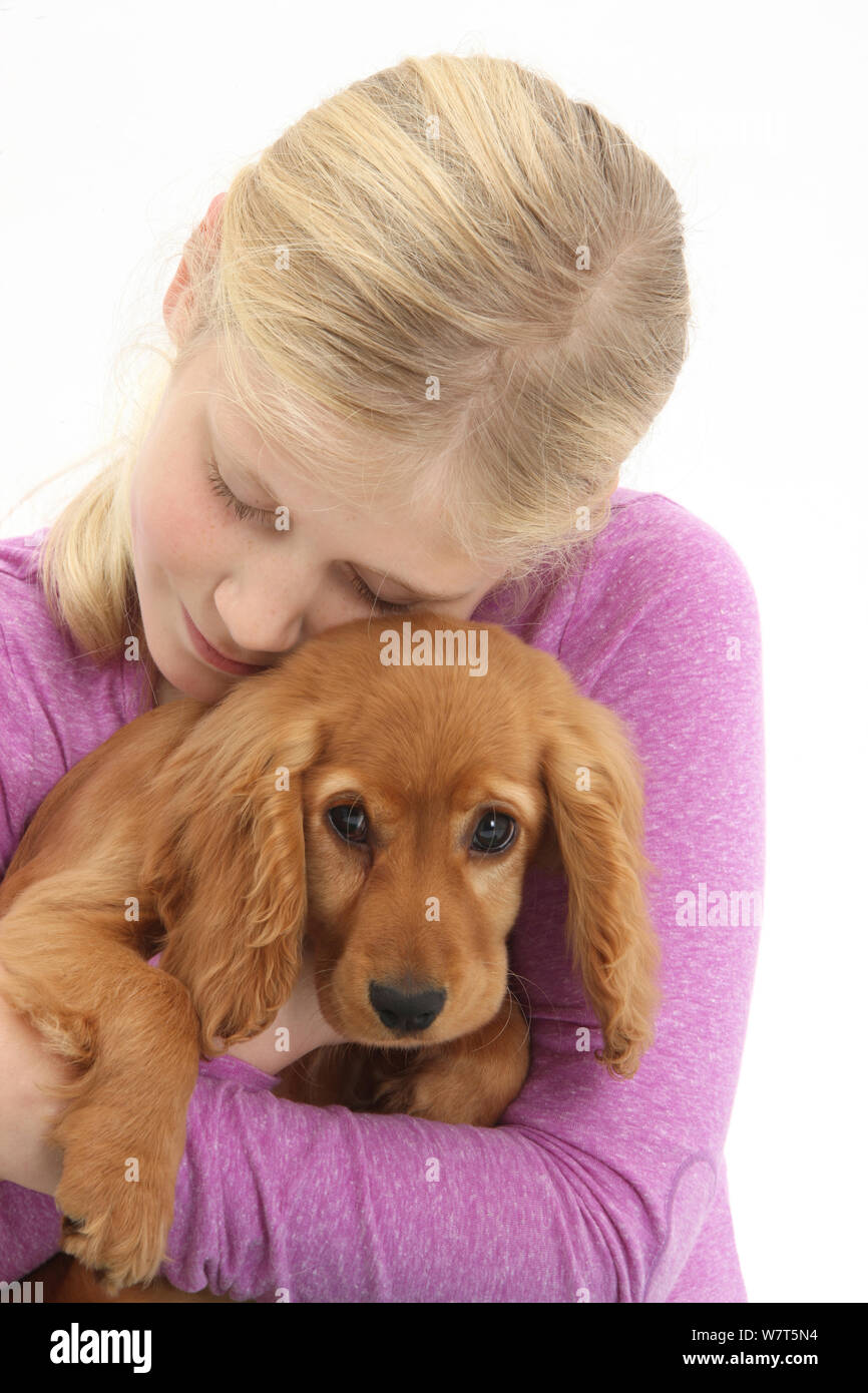Cocker spaniel puppy children hi-res stock photography and images - Alamy