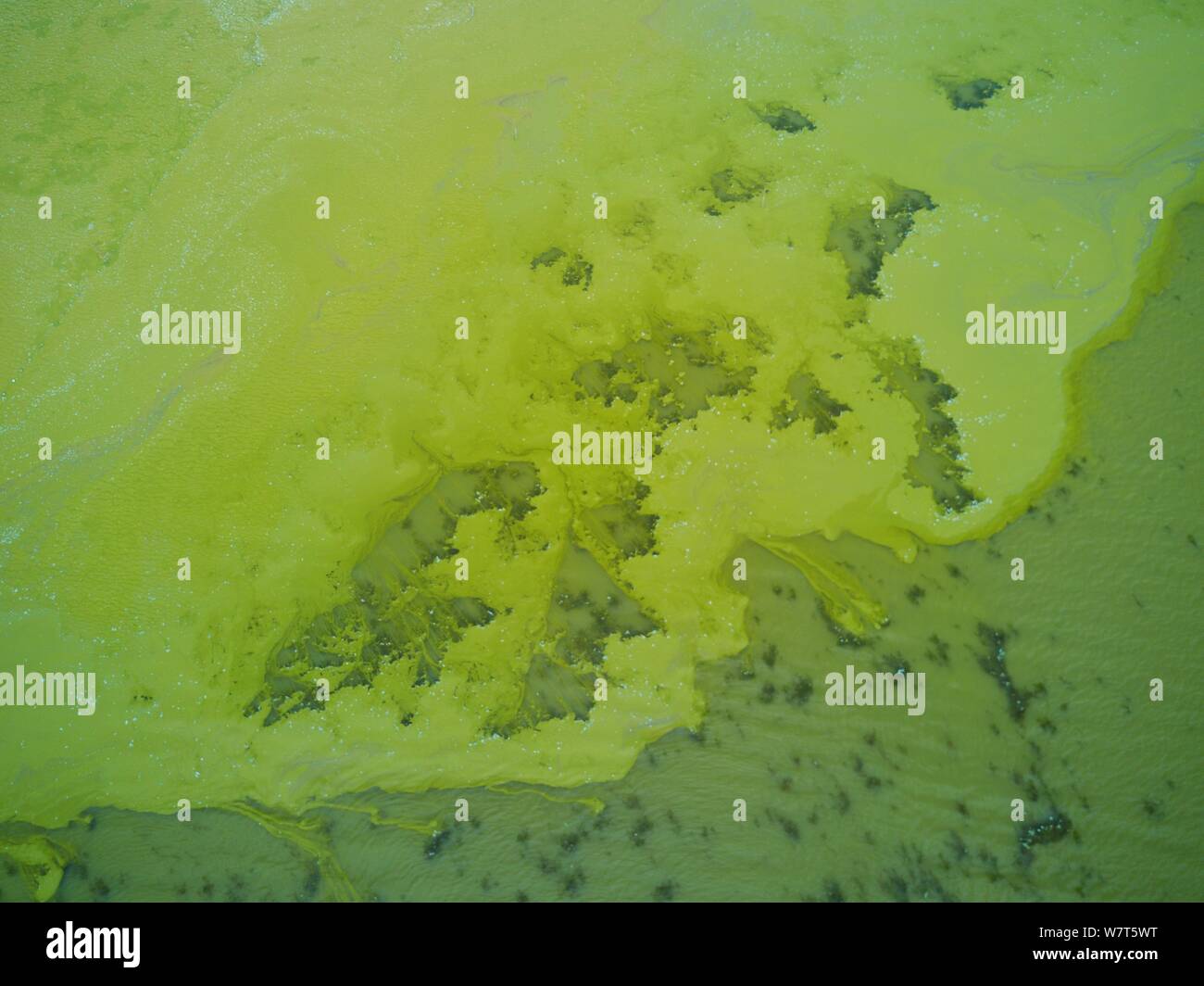 Lake tai aerial hi-res stock photography and images - Alamy