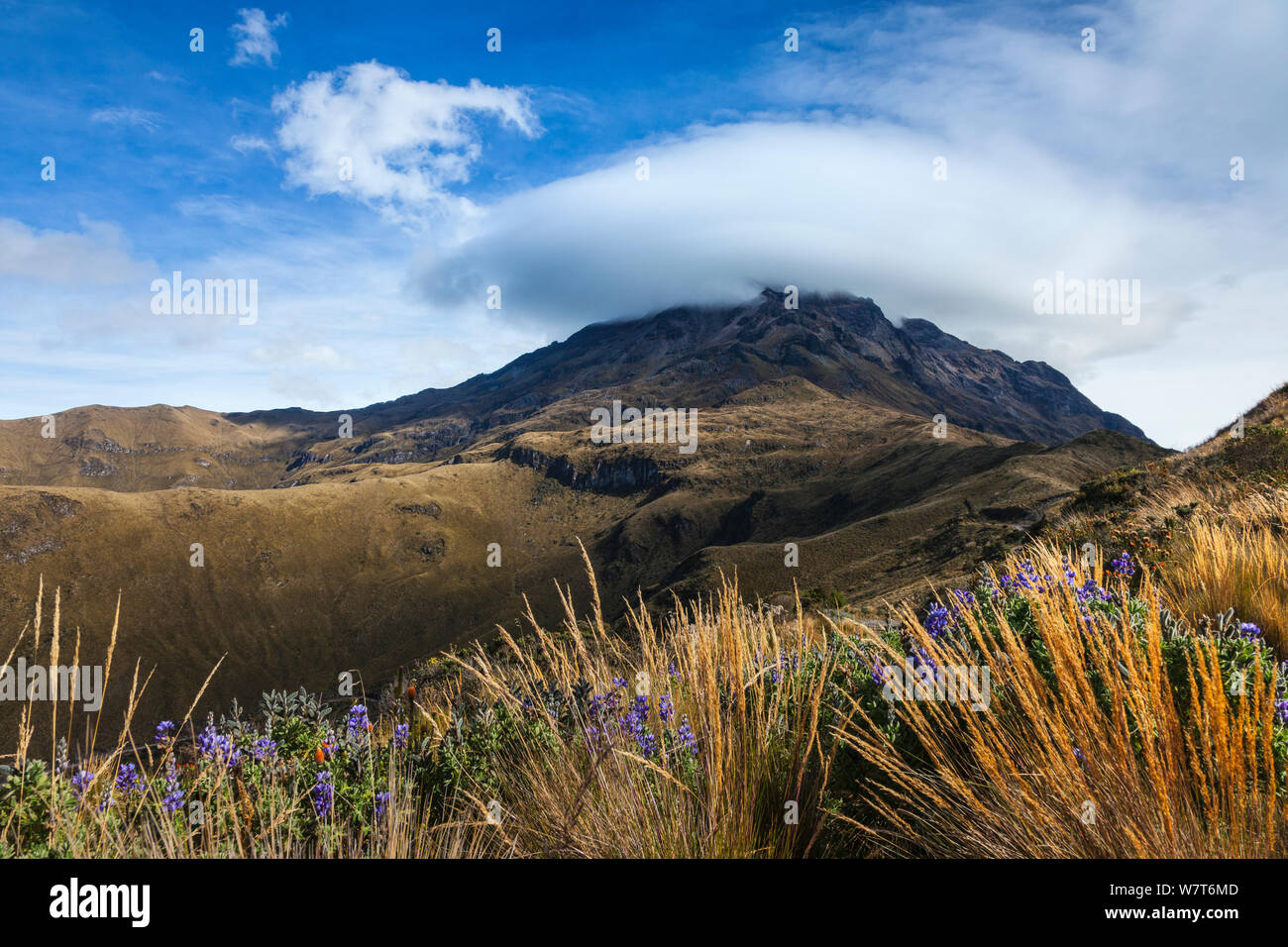 Cotacachi volcano, Otavalo, Ecuador, September 2010 Stock Photo - Alamy