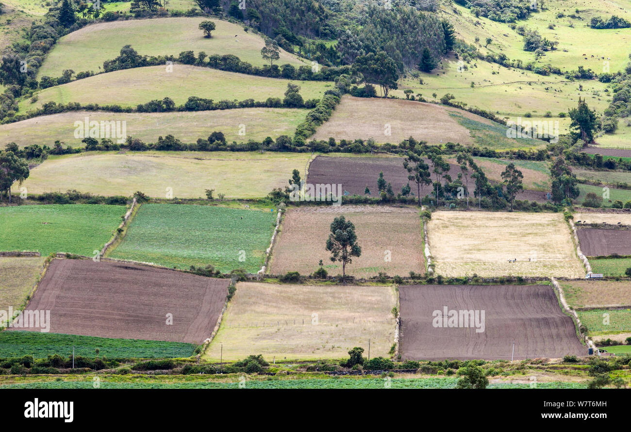 Agricultural field patterns near El Angel, Ecuador, September 2010 ...