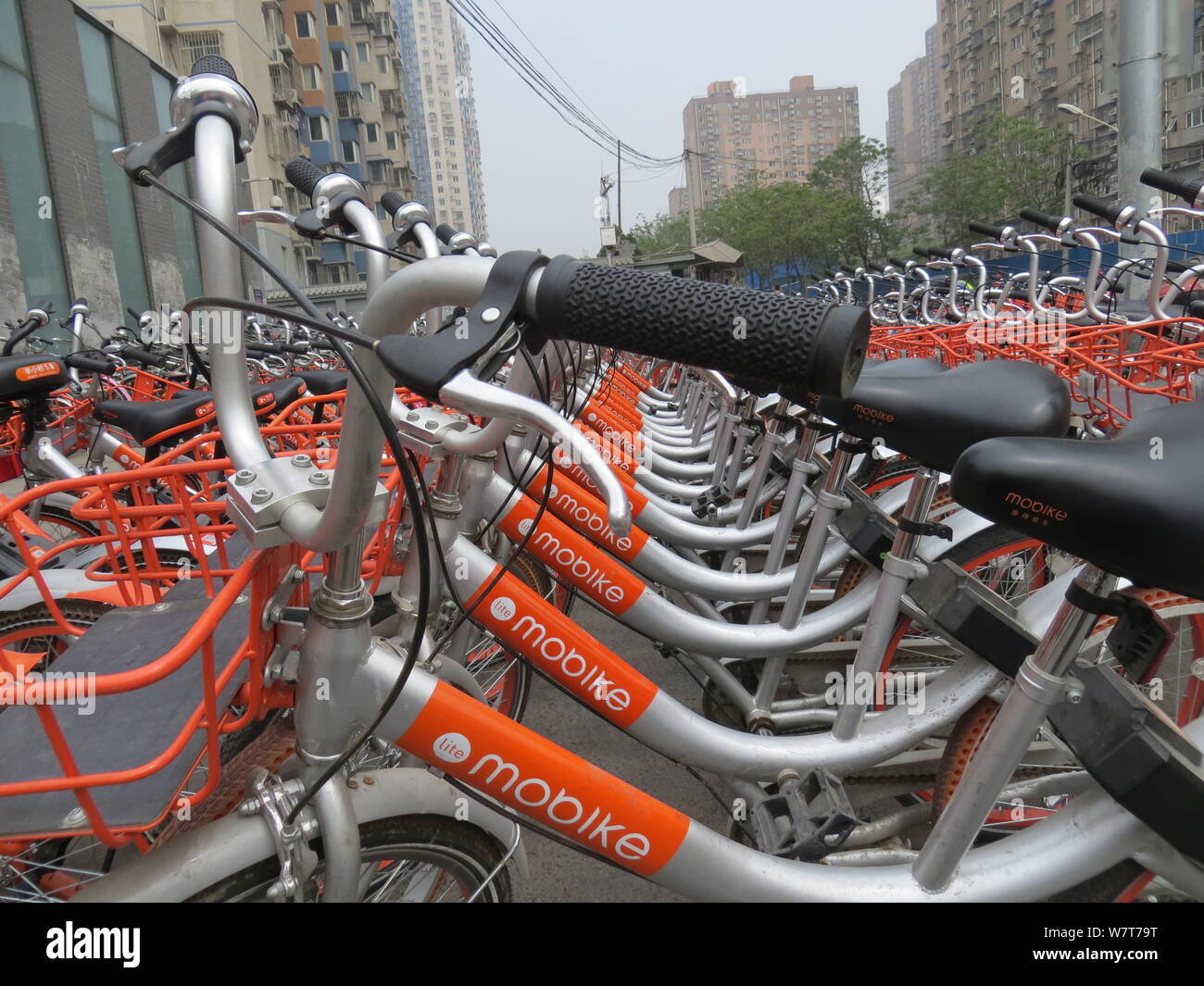 --FILE--Bicycles of Chinese bike-sharing service Mobike are lined up on ...