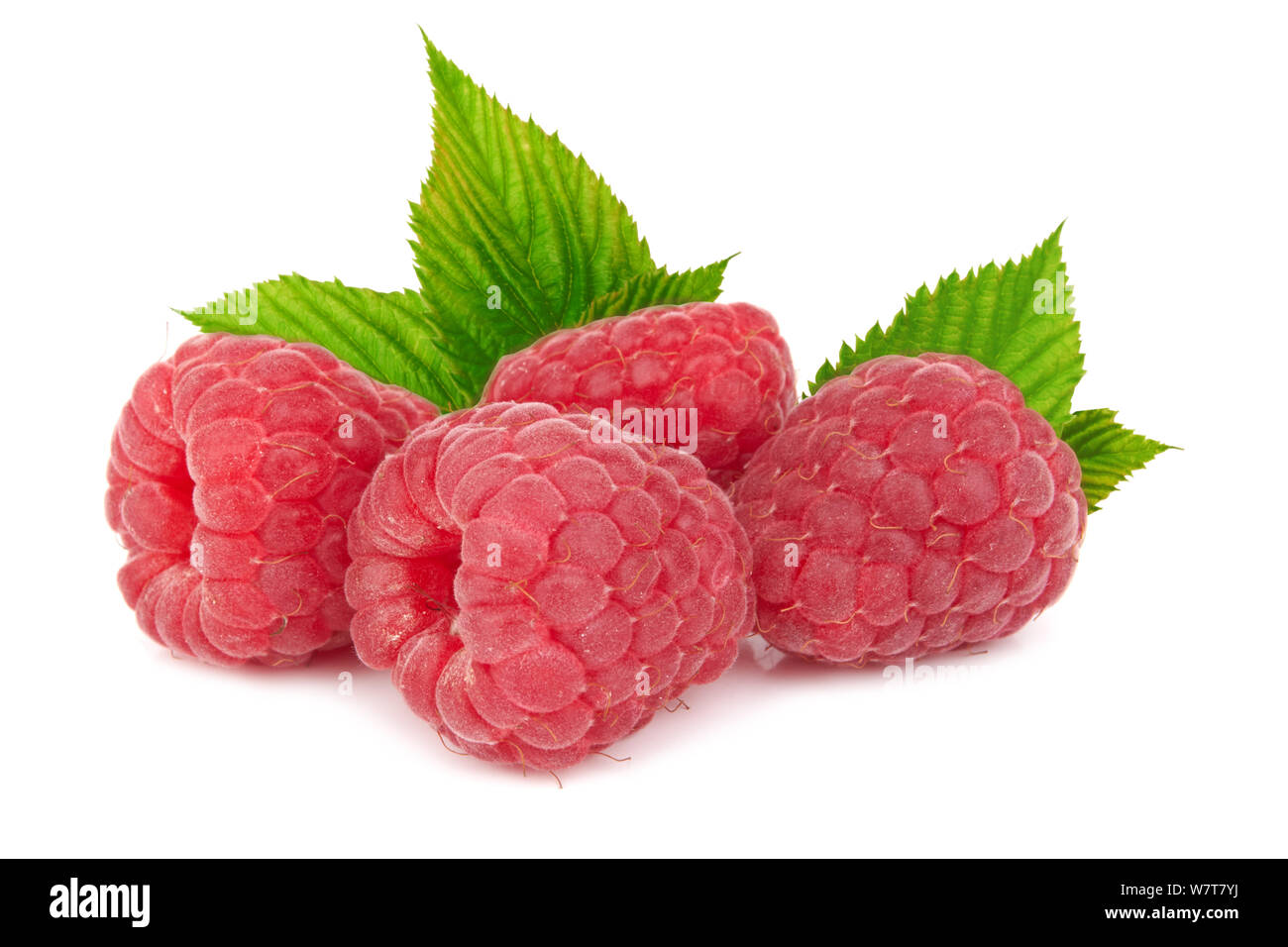 Raspberry fruit closeup isolated on white background Stock Photo - Alamy