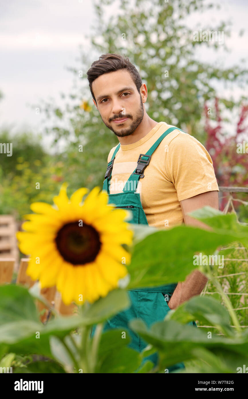 portrait of handsome gardender standing in garden with sunflower Stock ...