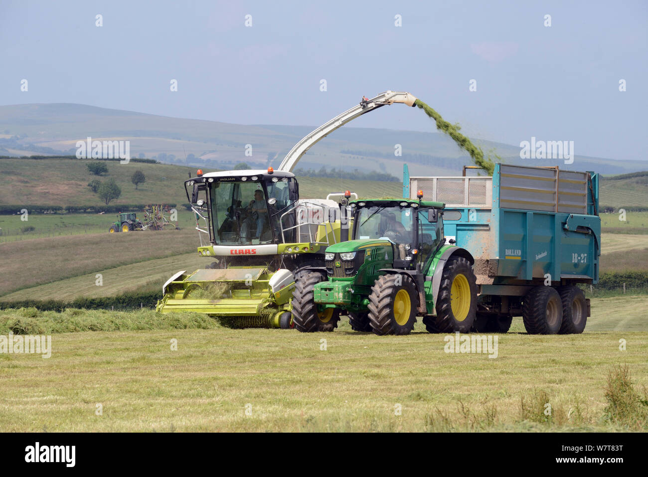 Forage harvester cutting grass for silage on the Clun Hills, south ...