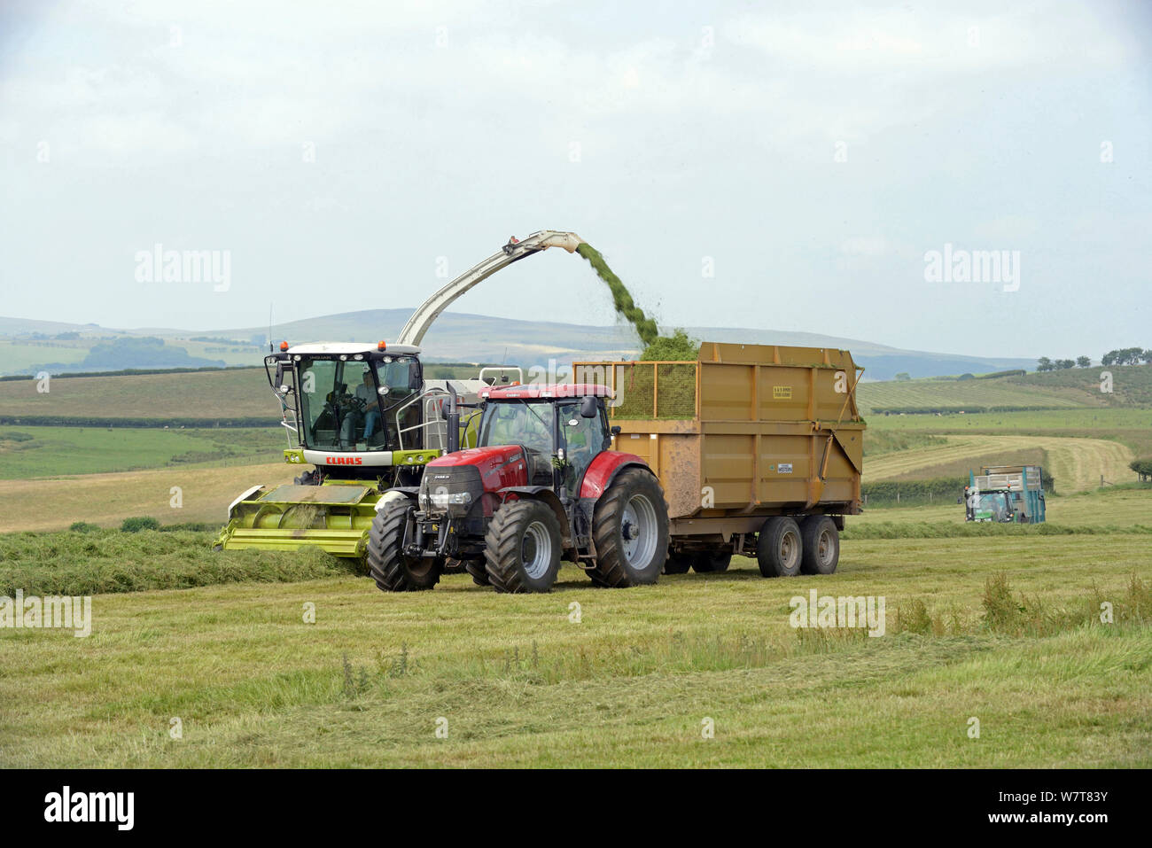 Cutting activities hi-res stock photography and images - Alamy