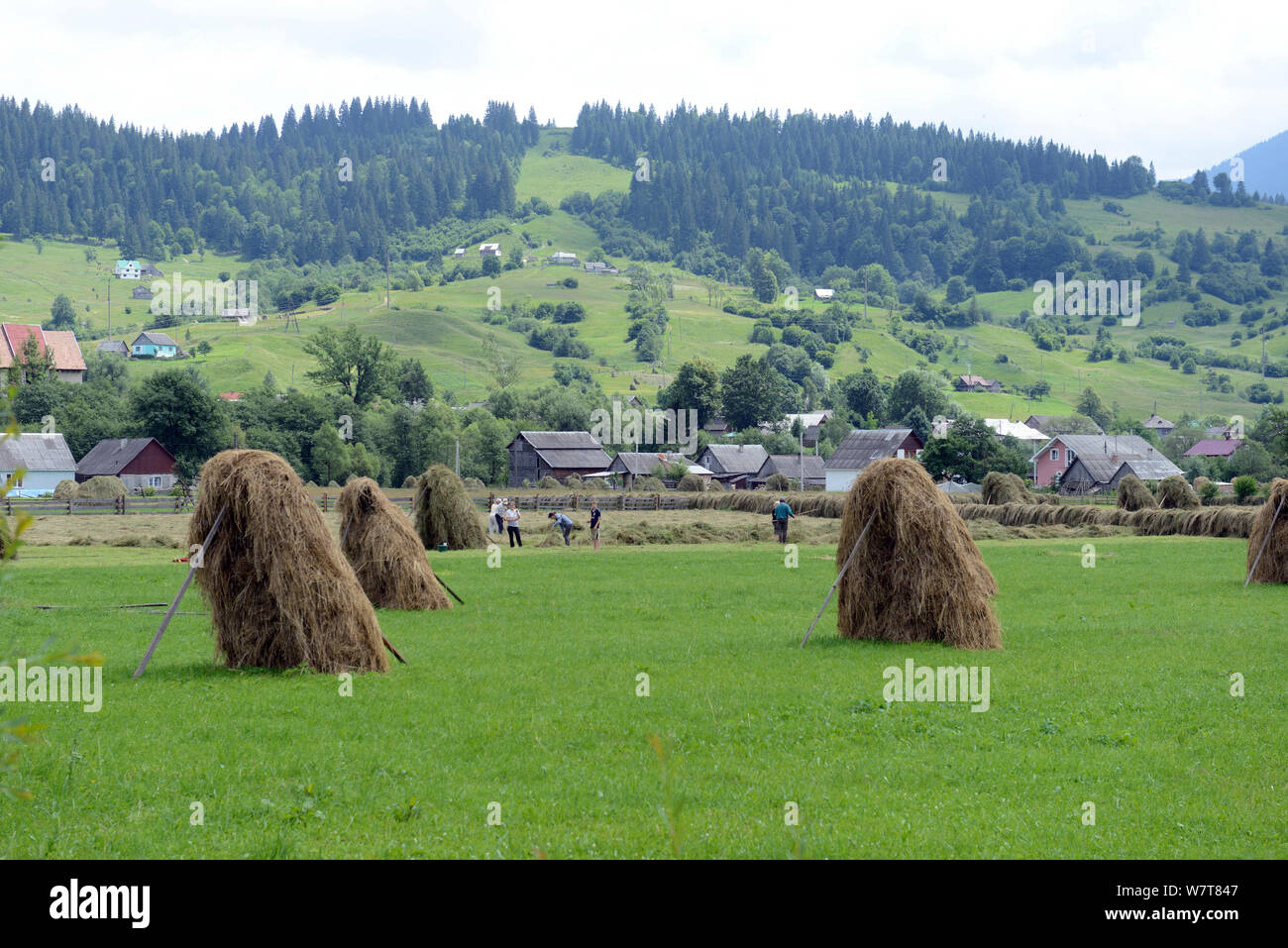 Ukraine person hi-res stock photography and images - Alamy