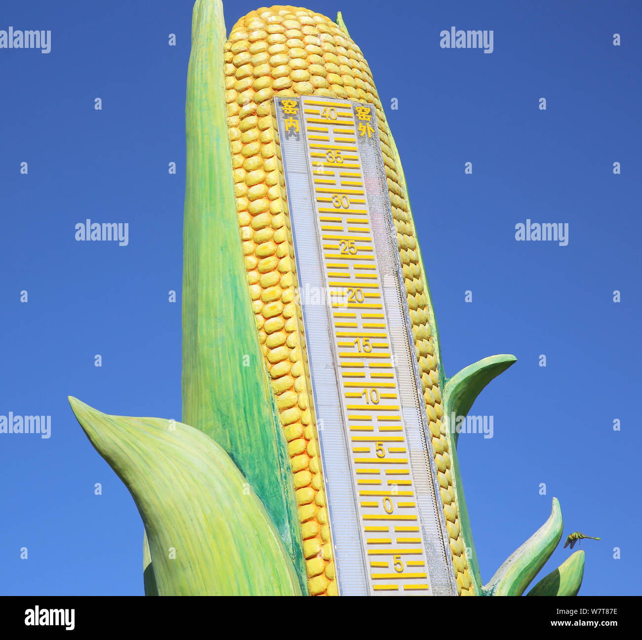 A huge thermometer featuring a corn cob with a height of eight meters ...
