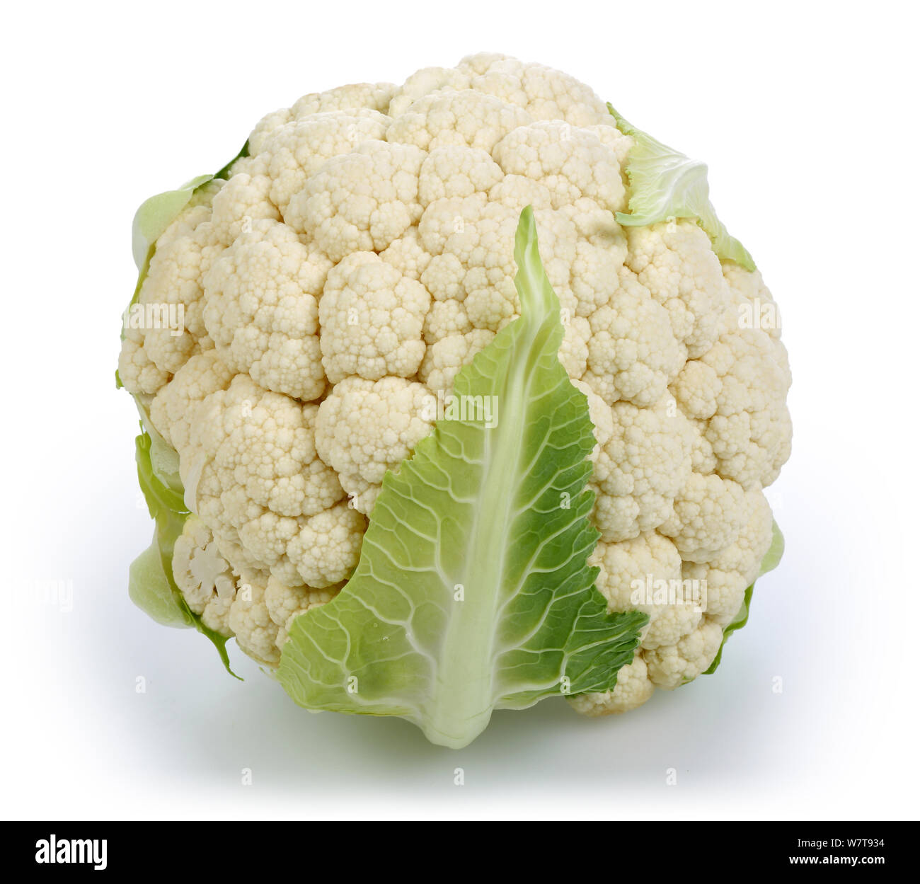 Single cauliflower isolated on white background Stock Photo - Alamy
