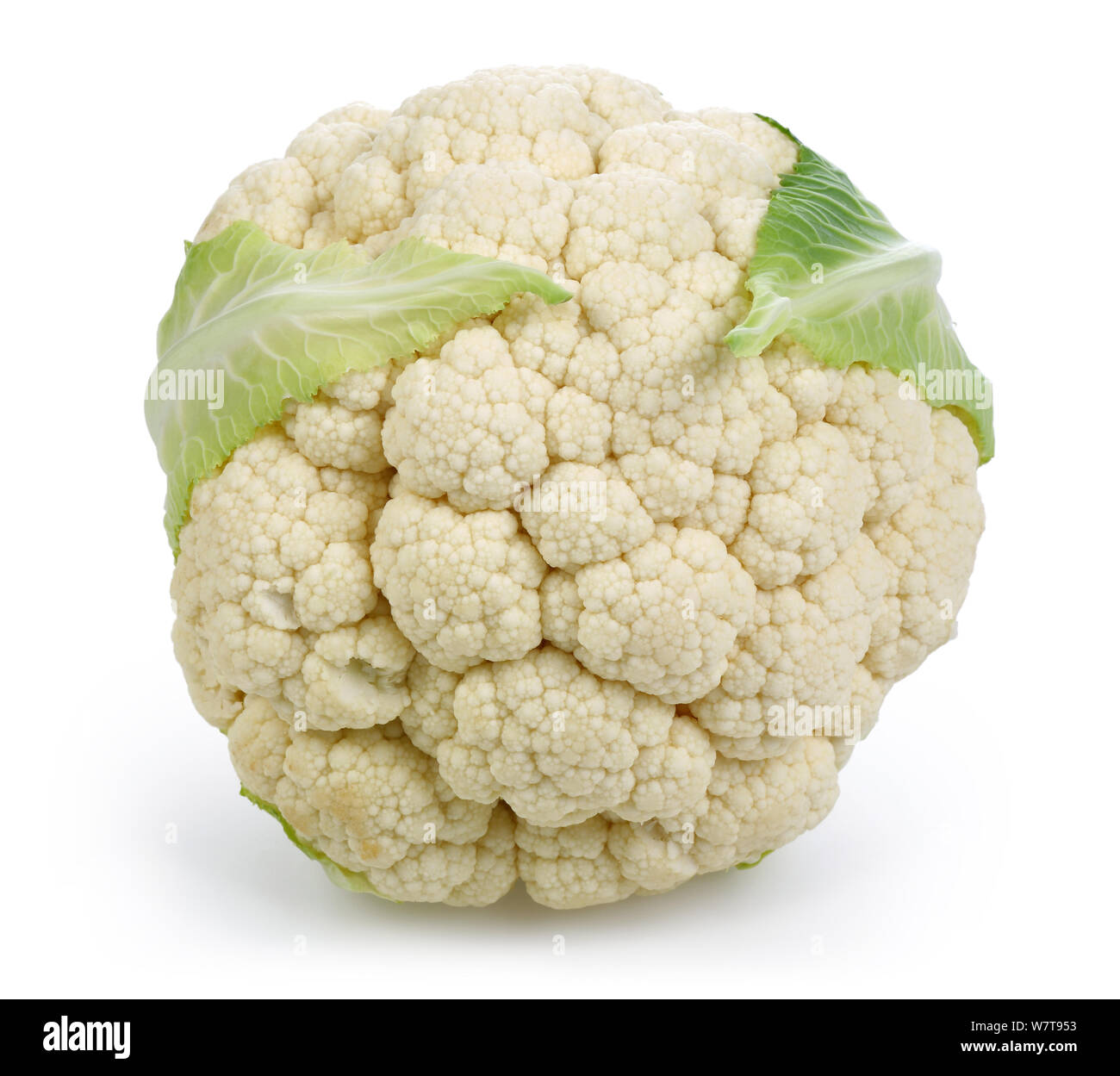 Single cauliflower isolated on white background Stock Photo - Alamy